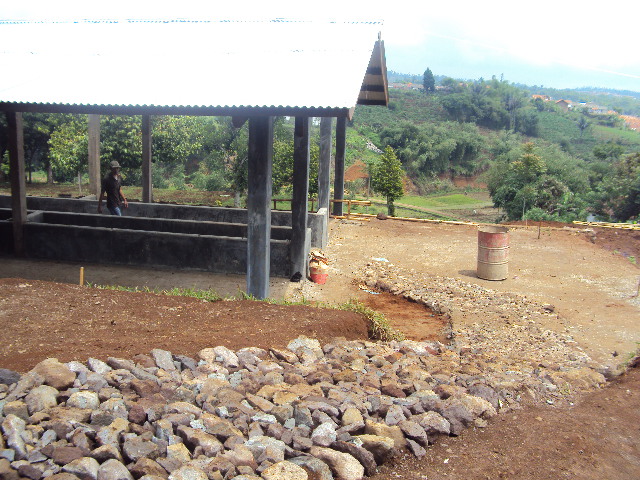 PITA LESTARI : Layout peternakan & pembangunan kandang