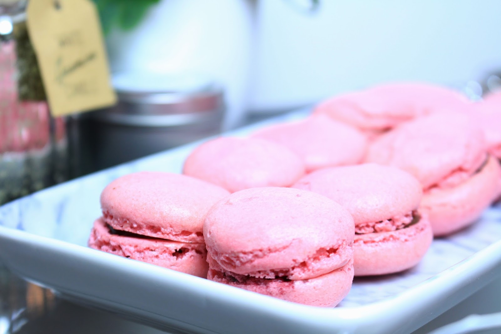 Macarons - Marshmallowor(l)d