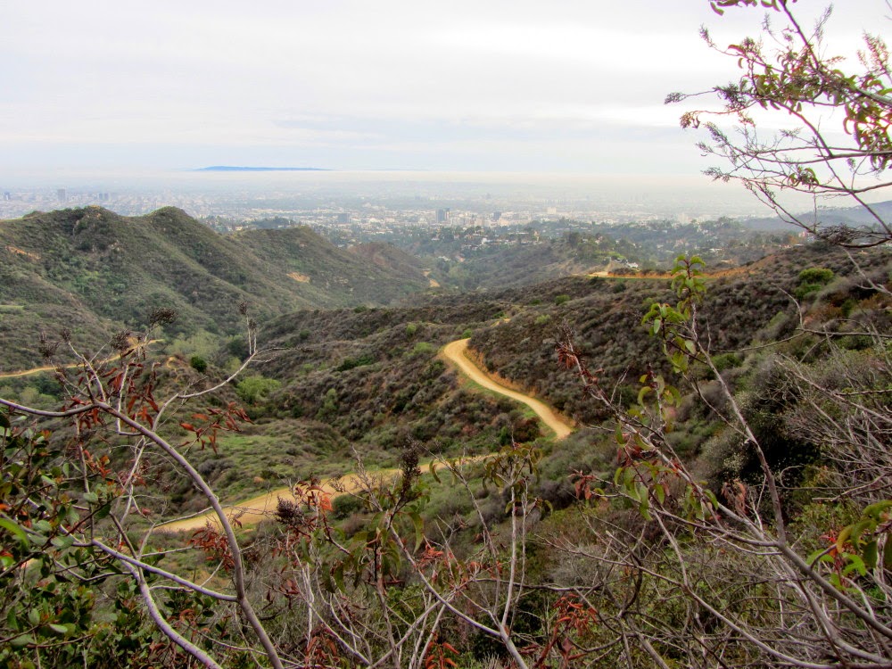 Dan's Hiking Blog: Mt. Lee via Brush Canyon in Griffith Park - April 10 ...