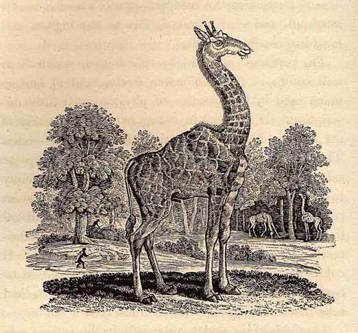 The Sondry Folk: February 2011