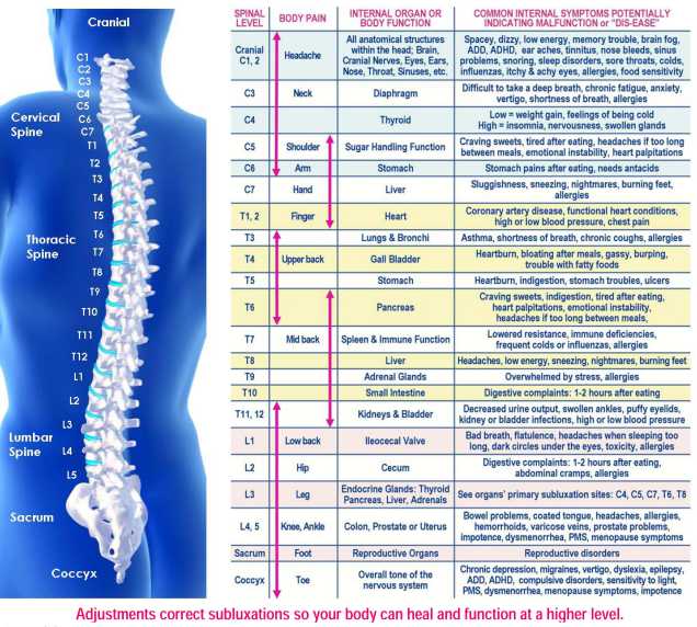 Vester Chiropractic Blog