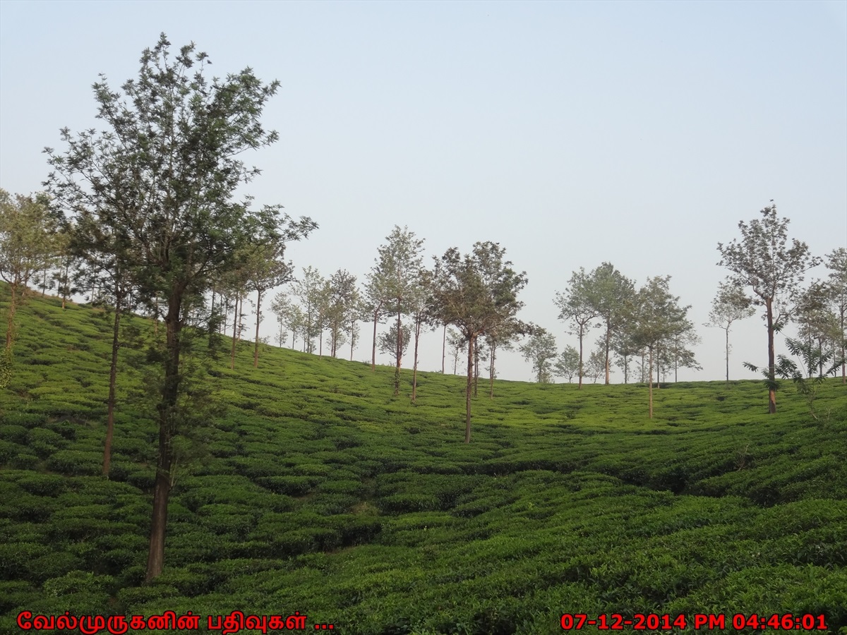 Attractions in Wayanad - Exploring My Life
