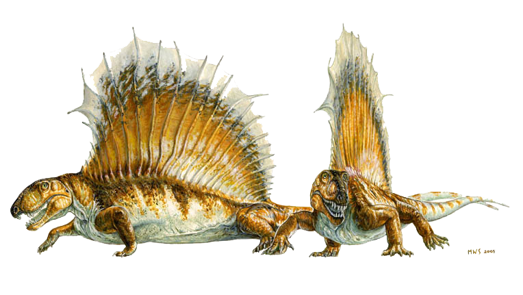 The Expeditioner's Discovery Guild: A little bit of Everything: Paleo ...