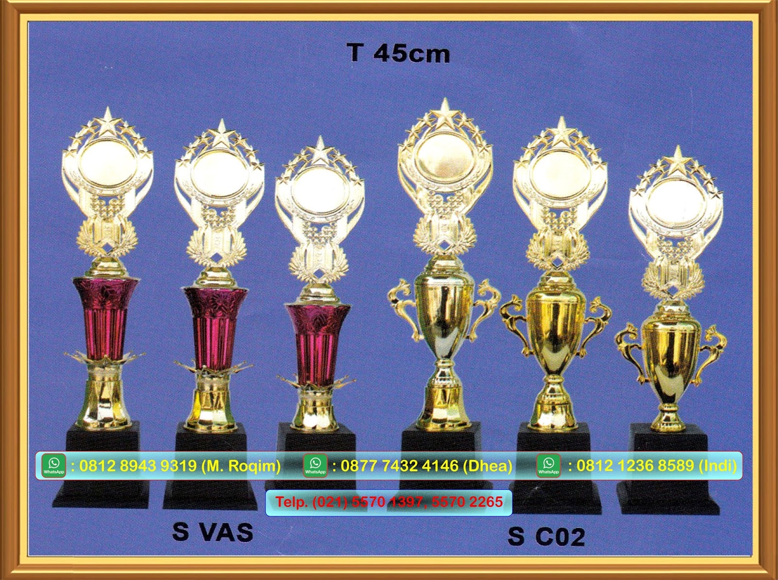 Spesifikasi Piala Murah ~ Asaka Trophy ~ Jual Piala Murah, Jual Piala ...