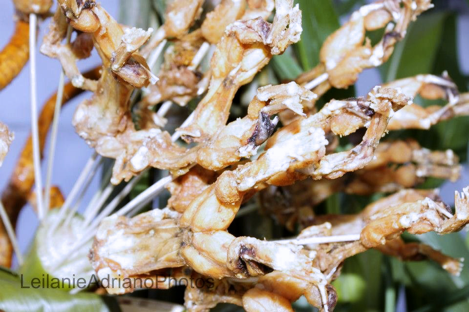 a feast of ilokano food exotica... ~ PINAKBET REPUBLIC