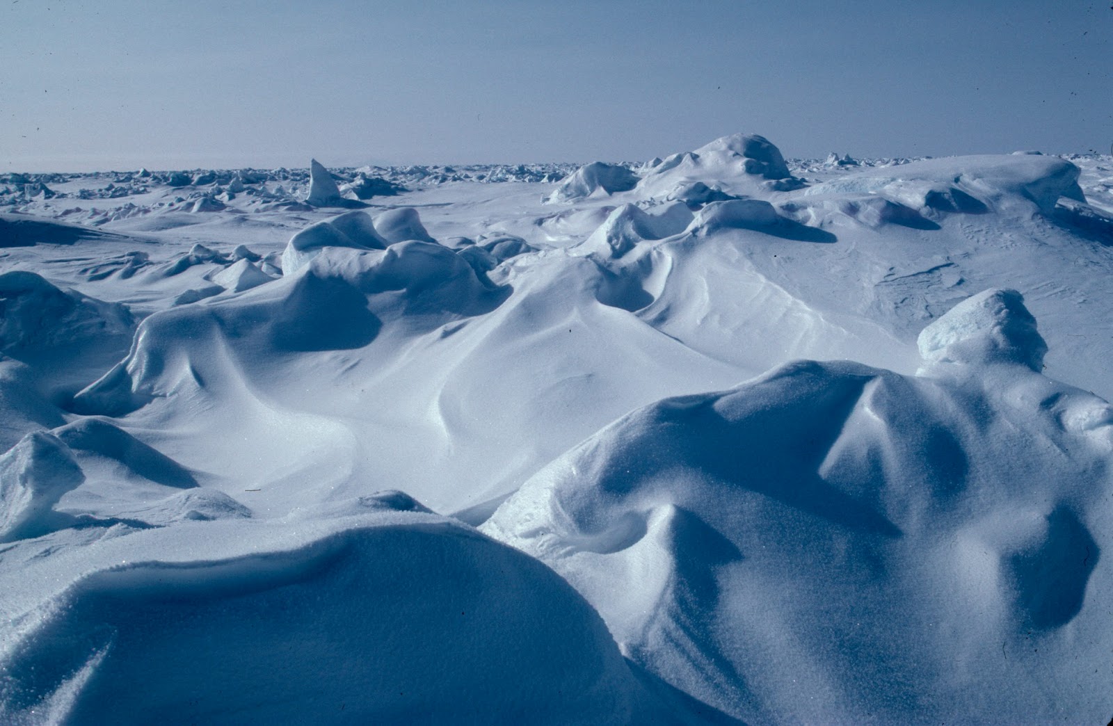 The World Complex: Sea ice photos from 1985