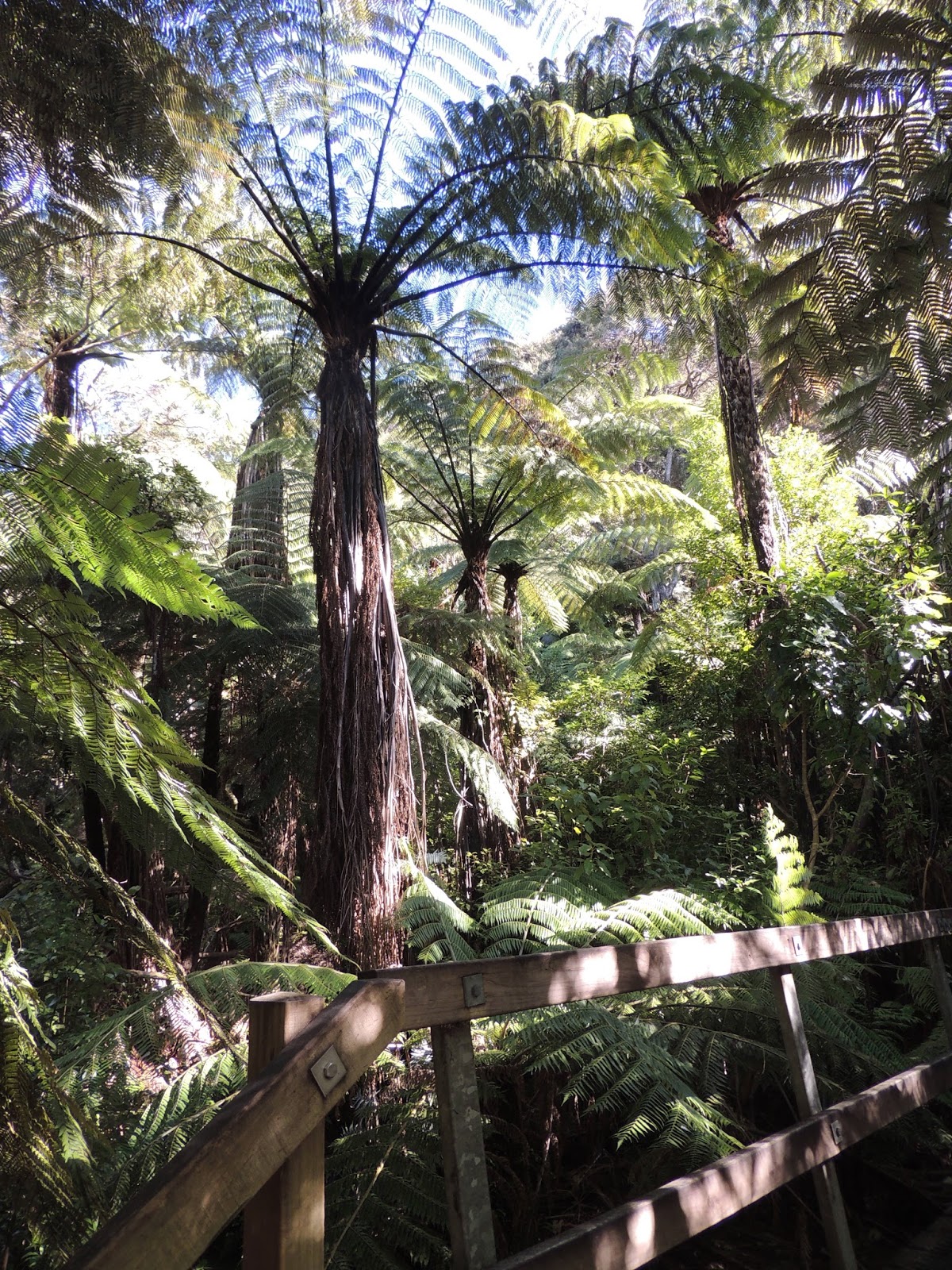 THE ROAD TAKEN : April 2017