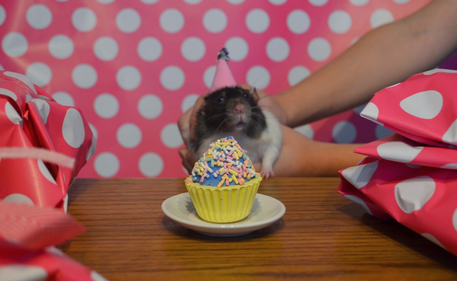 Crafty Mom of 3: It's A Rat Birthday Party!!!!