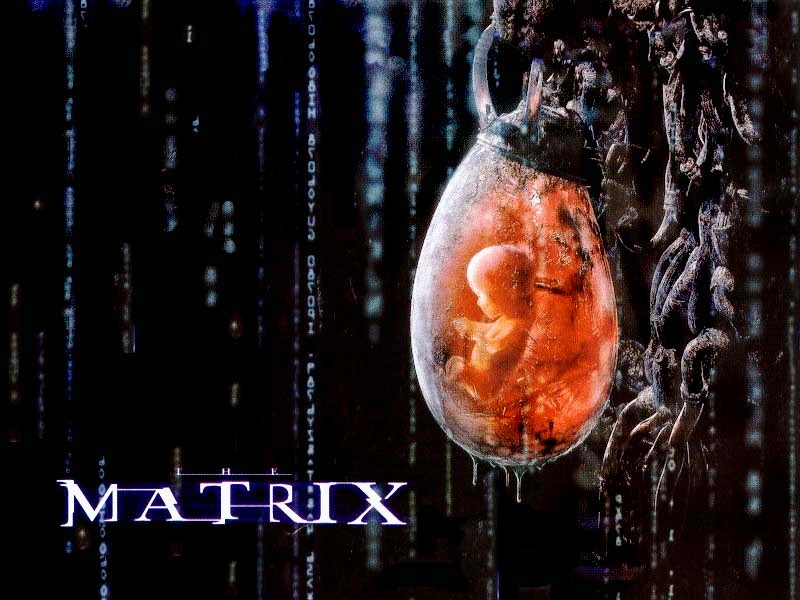 Recomendaciones: Recomentación de la pelicula: Matrix