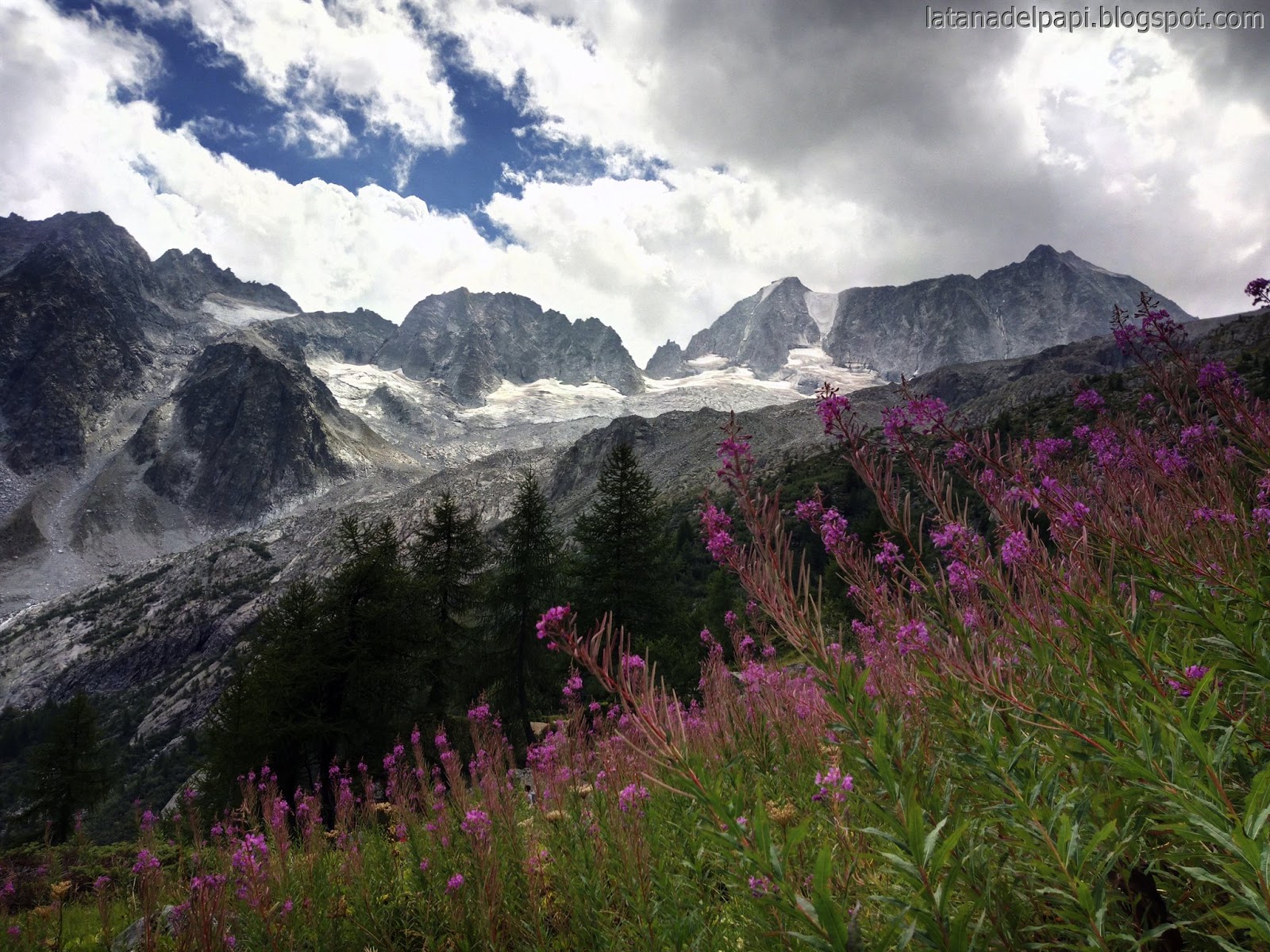 La tana del Papi: Stavel - Val di Stavel - Gras di Presanella - Rifugio ...