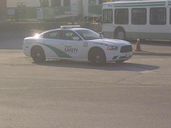 You. Me. Ride This Crazy Train - Adventures and Observations on The GO ...