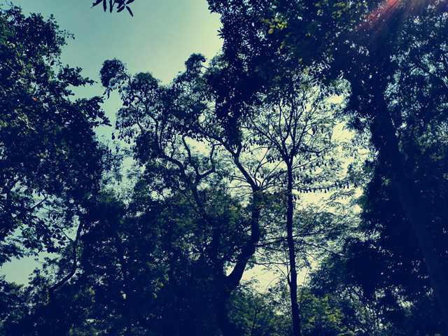 Redah 3.0 : Sri Lanka - Day 2 Colombo ~ Peristiwa Semalam