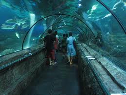 Marine Parks Tour: SeaWorld Indonesia