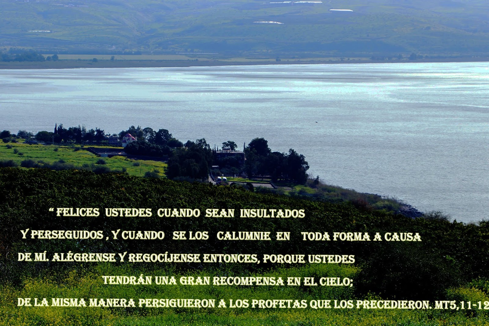 EVANGELIO DE MATEO: "FELICES USTEDES CUANDO..." Mt 5,11-12