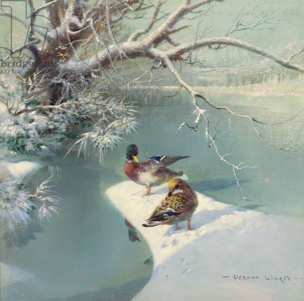 Vernon Ward | Edwardian Era painter : 네이버 블로그