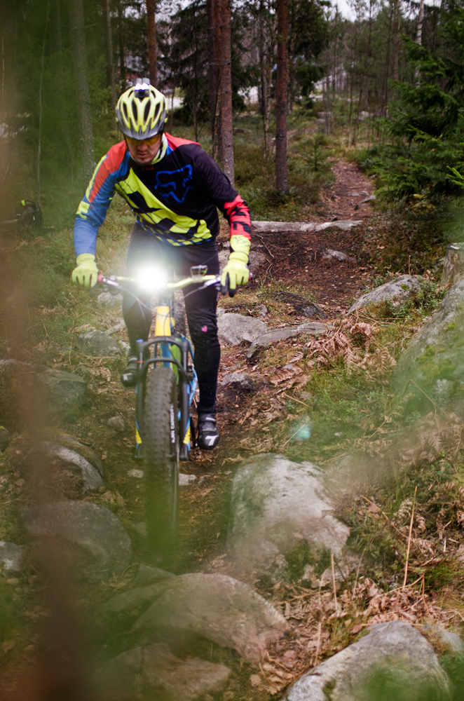 Hemmon Kuvat & Fillarihemmo: Felt DD10 2017