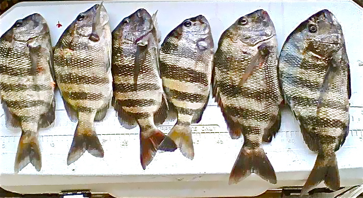 On Foot Angler: From Native Tackle - Sebastian