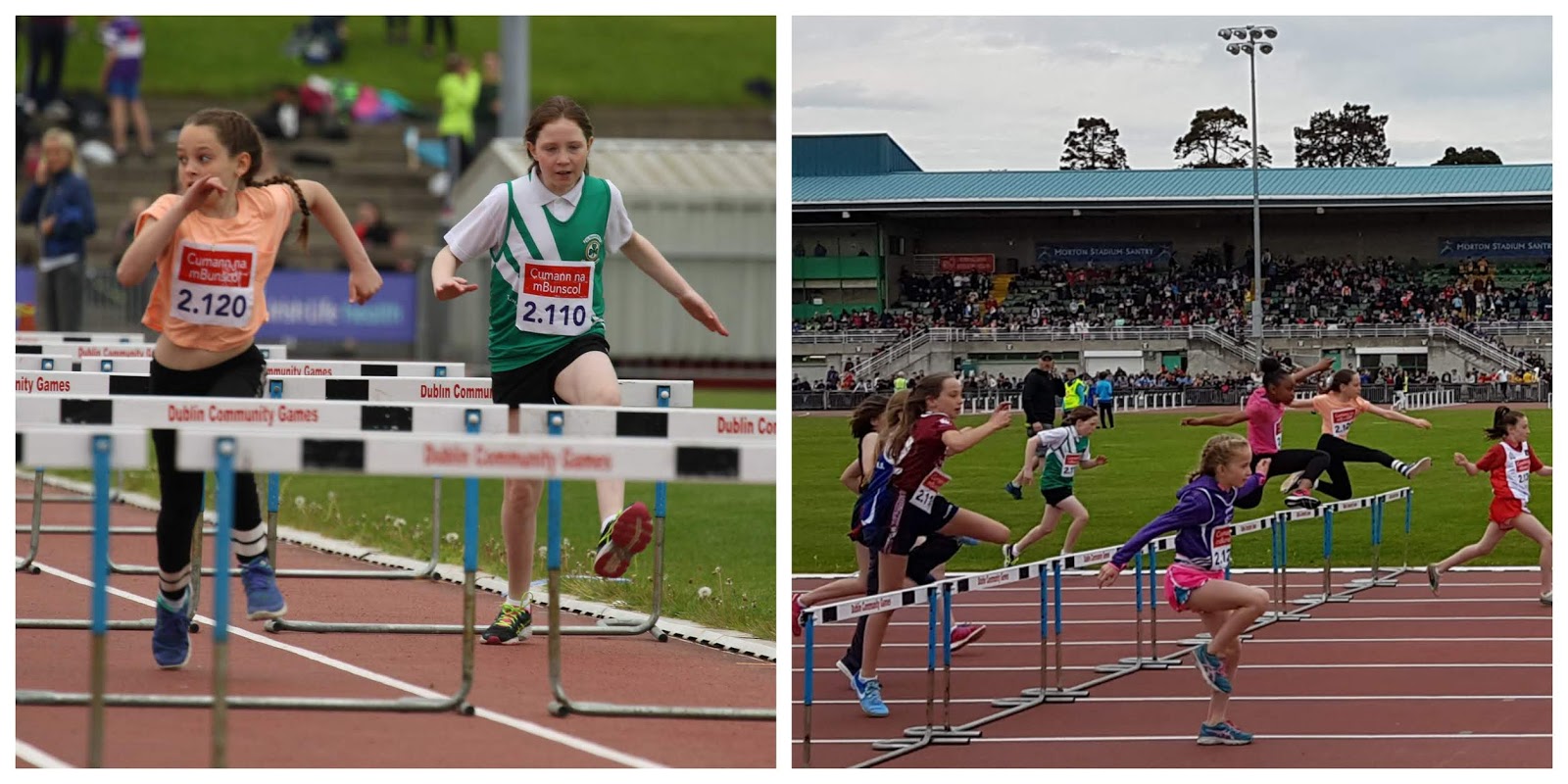 Field Events 2018 field-events-2018