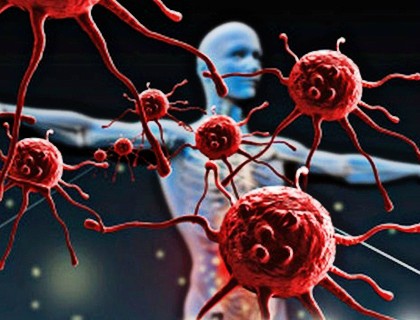 6 cosas que hay que saber sobre nuestro sistema inmunológico | Web Salud