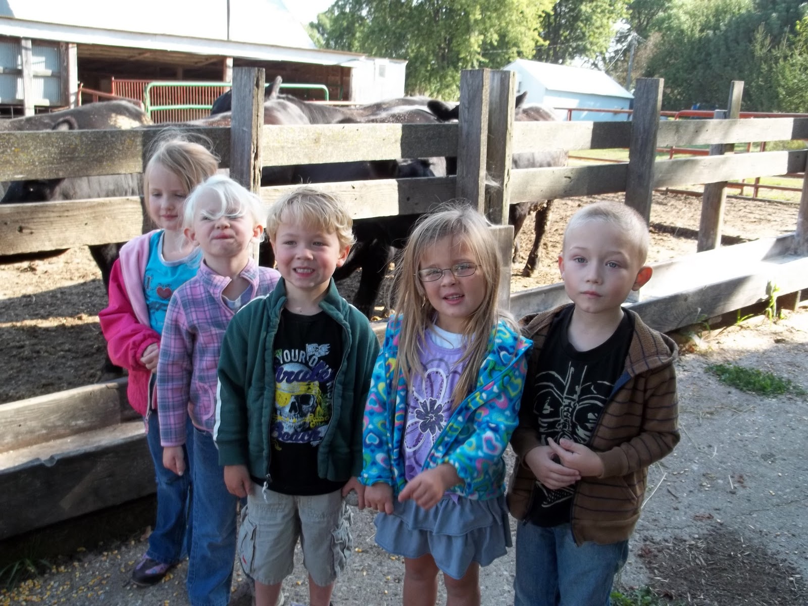 Mrs. Wunschel's Class News: Preschool field trip to the farm