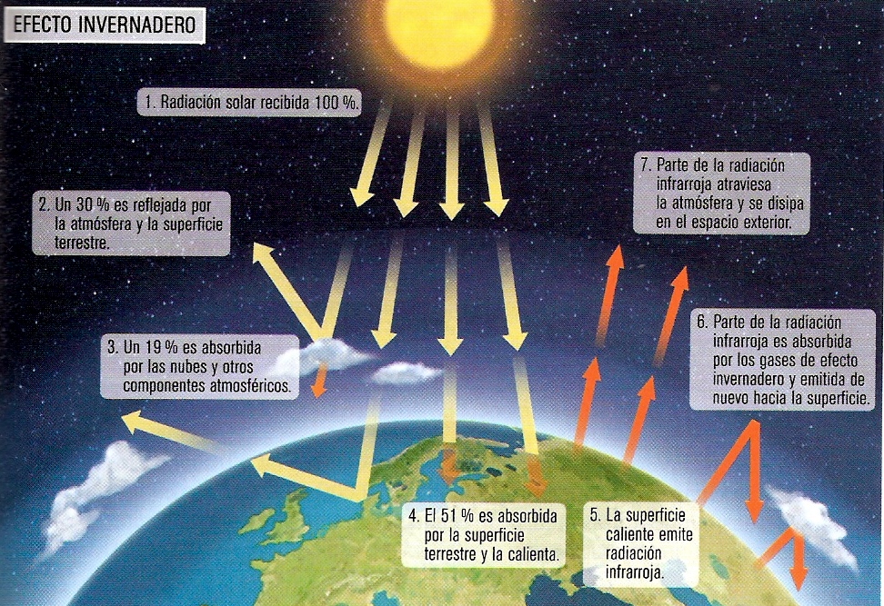 Calentamiento Global: Causas del calentamiento global