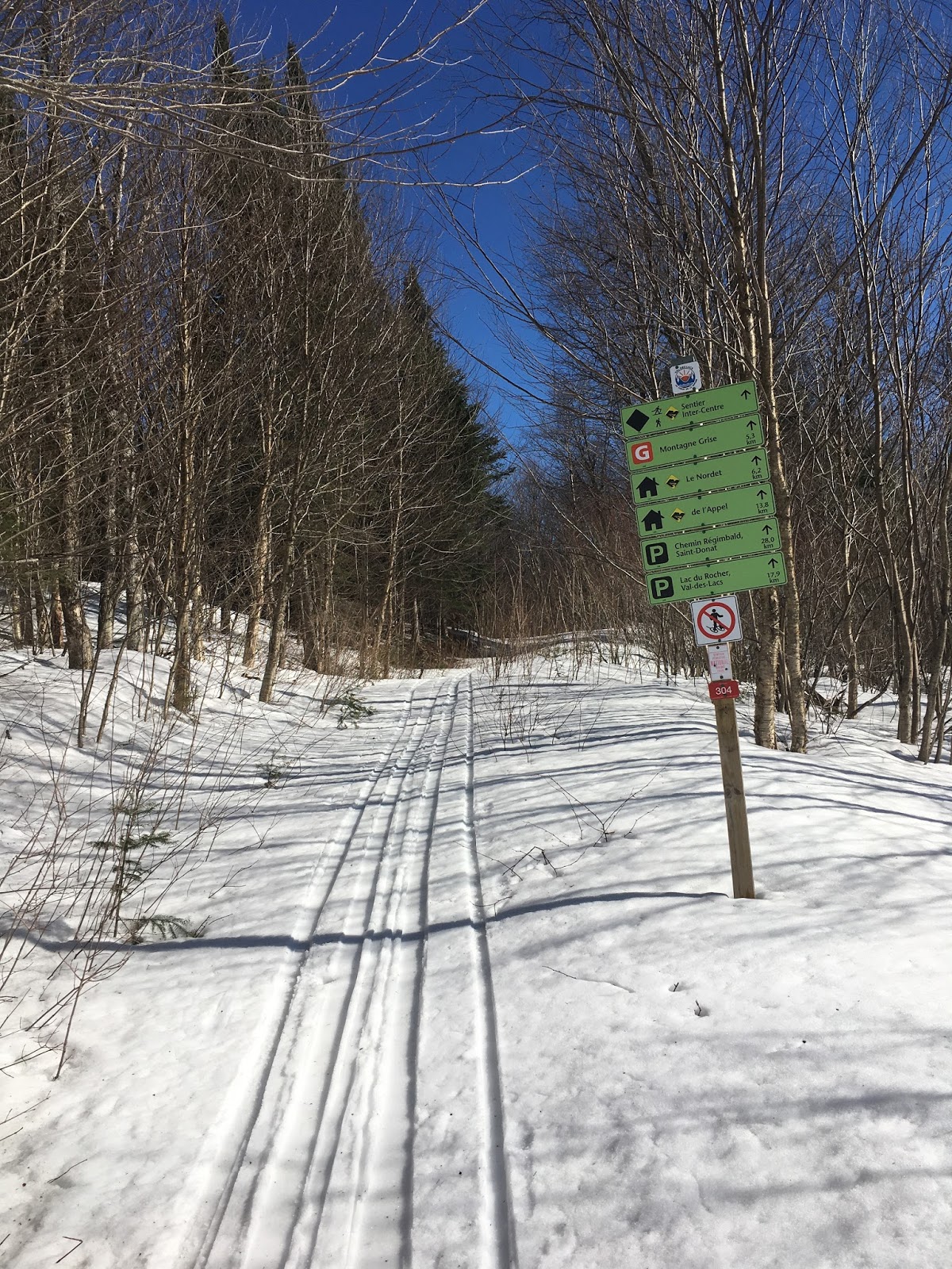 Skiglisse: Au sommet de la montagne Grise