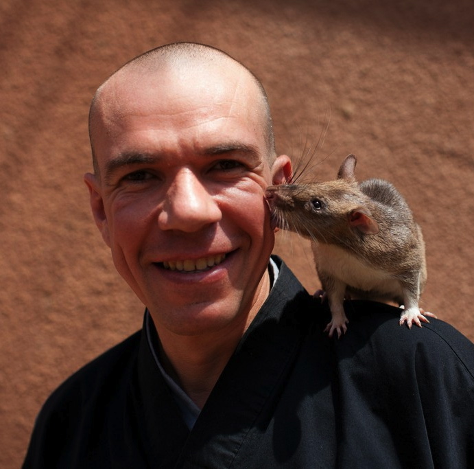 Buddhist Values in Business and its Potential for Europe: Being a ...