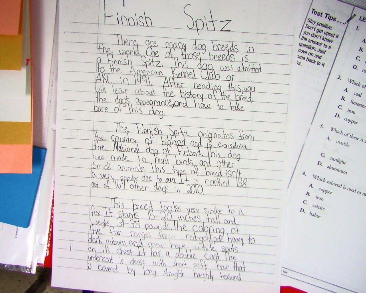 ASSESSMENT GRADE MADNESS: Long Time No Post, Freebies to make up for it :)