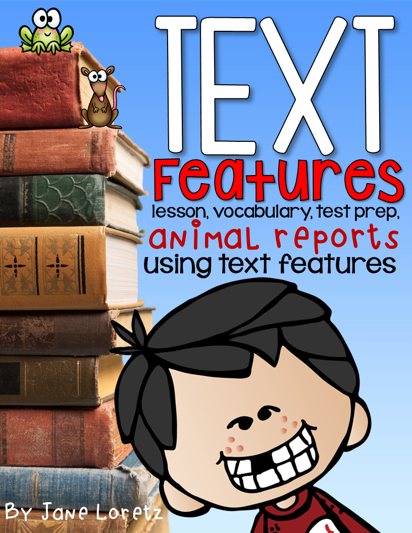 See Jane Teach Multiage: Text Features Book