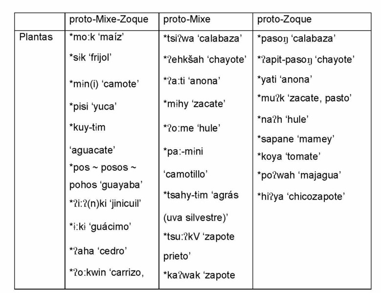 A-BAK’ MATEMÁTICA MAYA: LOS OLMECAS SON MIXE-ZOQUES; SEGUNDA PARTE | A ...