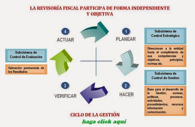 La Revisoria Fiscal Y El Revisor Fiscal
