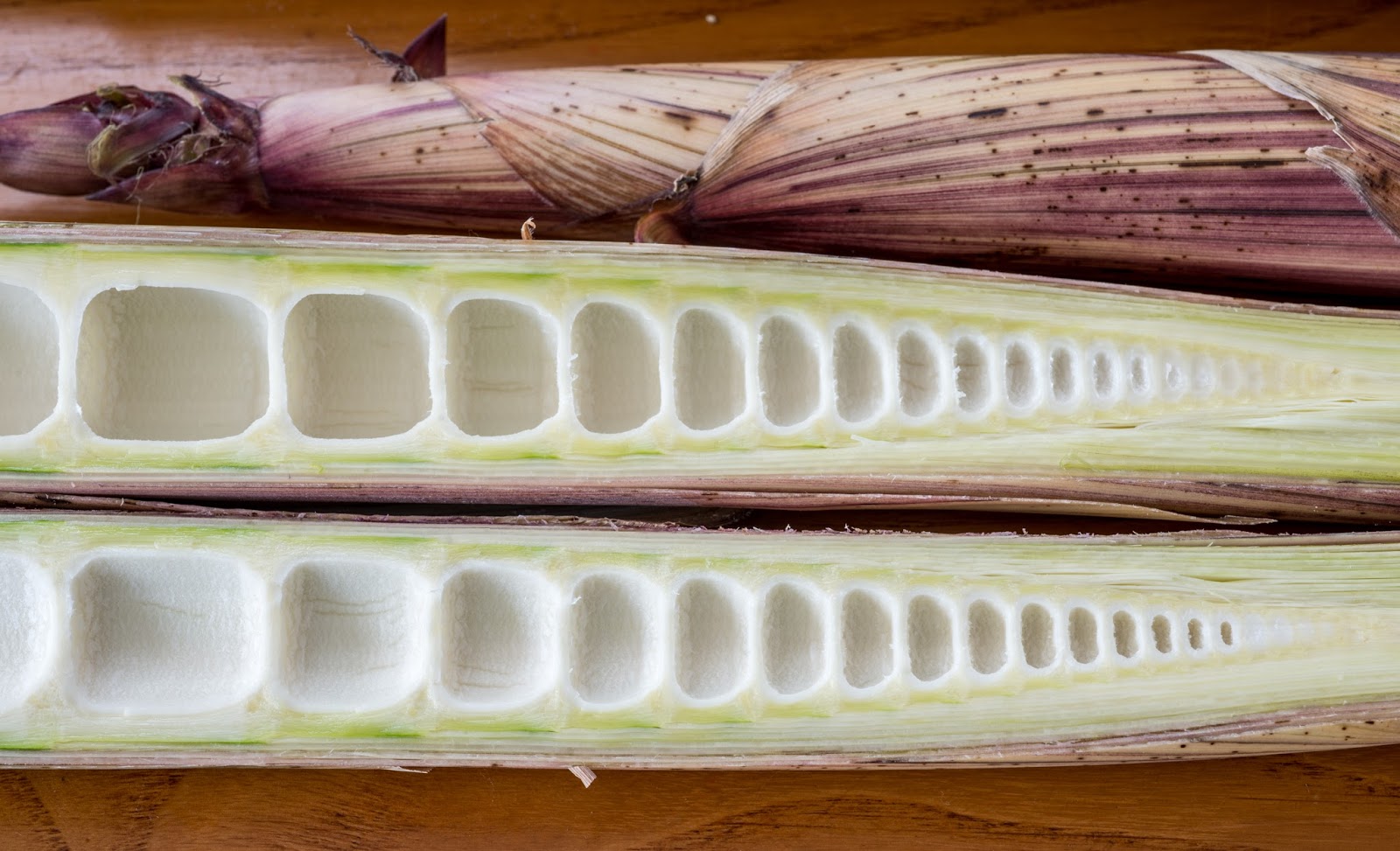 The 3 Foragers: Foraging for Wild, Natural, Organic Food: Bamboo Recipe ...