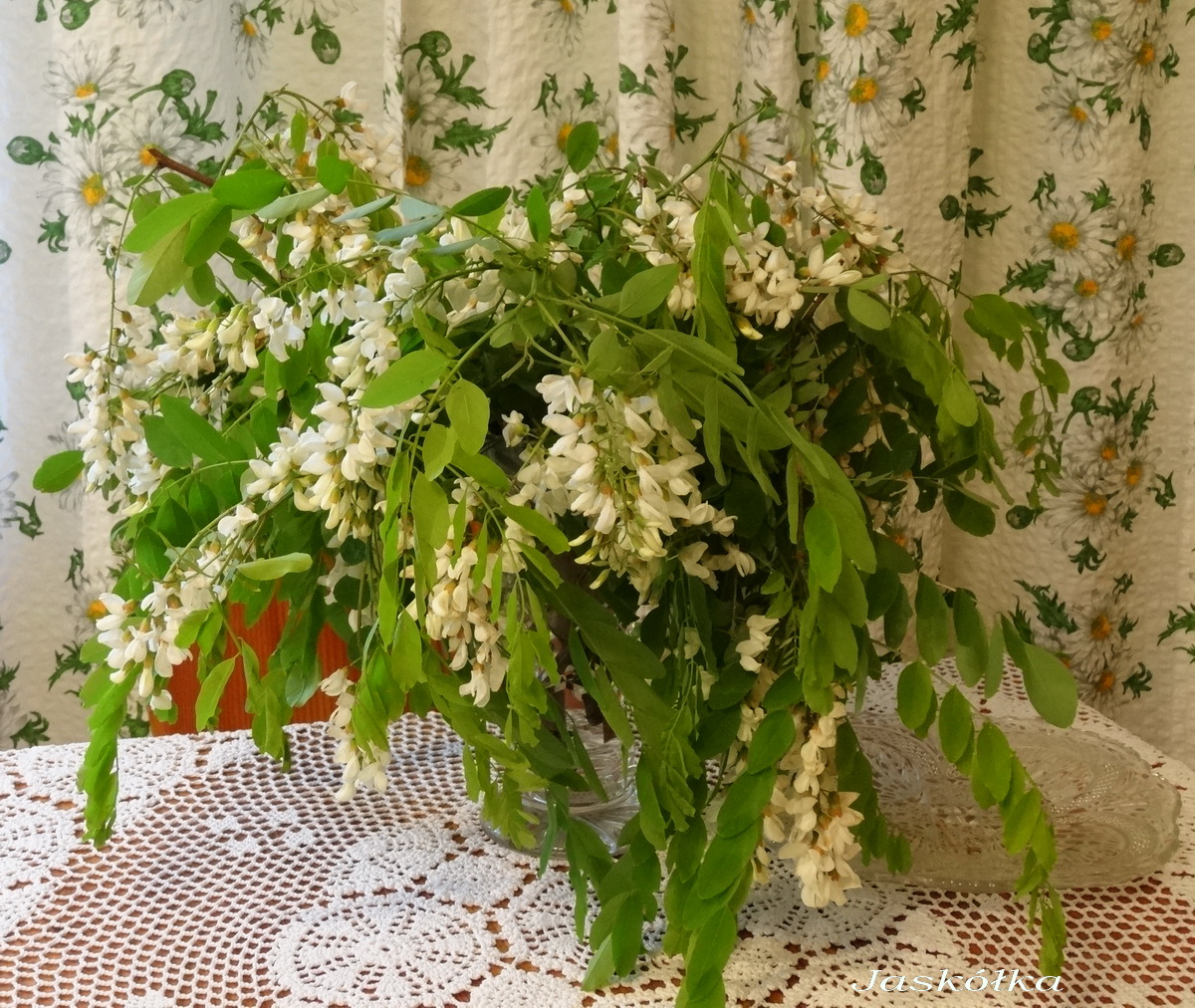 Szumy...ciągi...zlepy...chwile ulotne...: Akacje