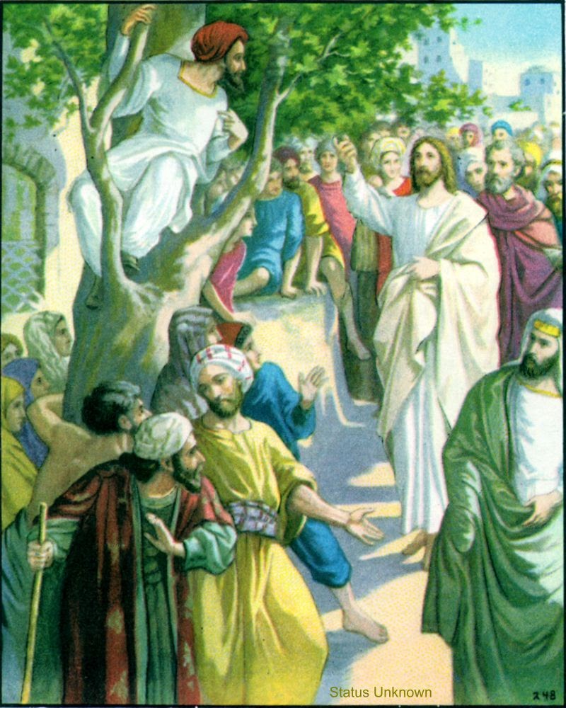 LiturgyTools.net: Pictures for the 31st Sunday of Ordinary Time, Year C