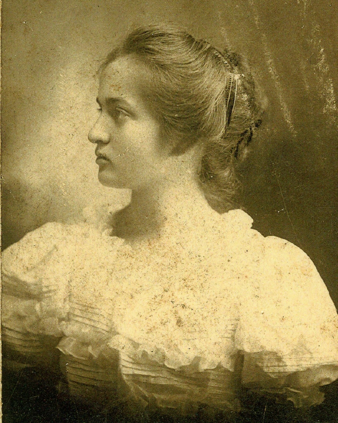 The Rowell Bosse North Carolina Room: Library's Exhibit Reveals Gash's ...