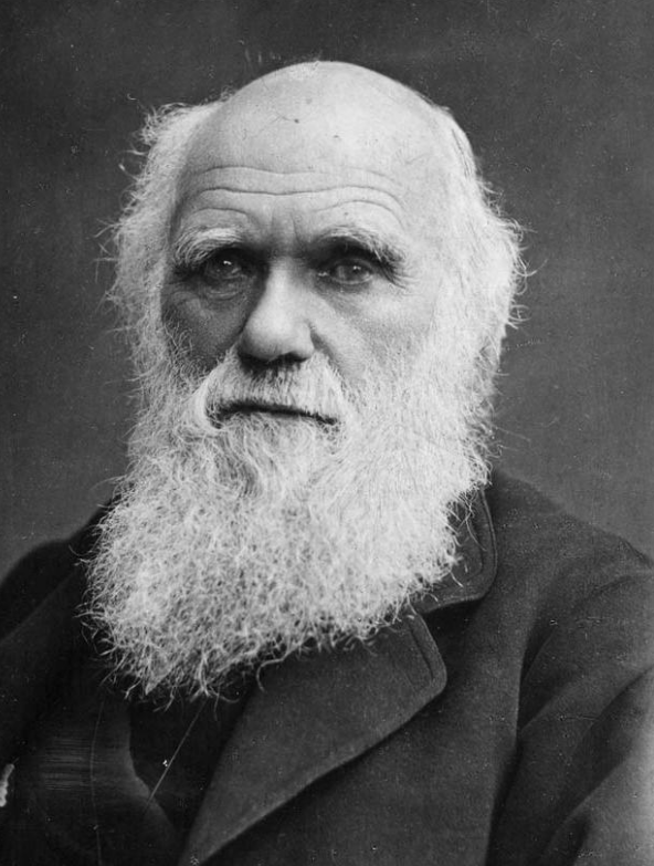 Critical Thinking Station: Critical Thinkers in history – Charles Darwin