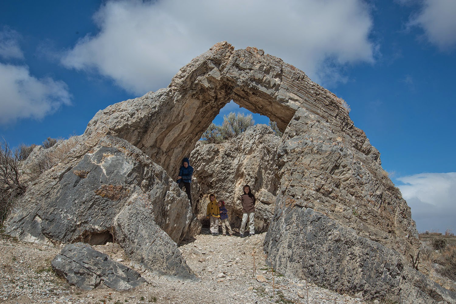 A school of fish: Golden Spike National Historic Site field trip (and ...