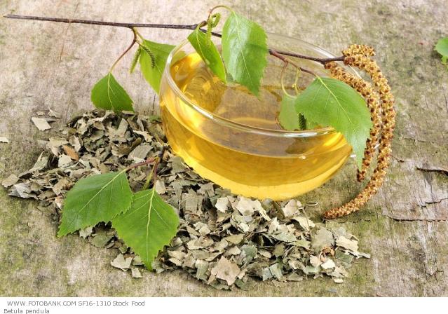 Inyecciones de naturaleza: ABEDUL