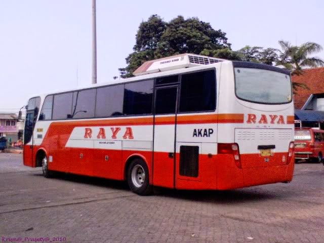 Macam-Macam Bus - Bus Indonesia