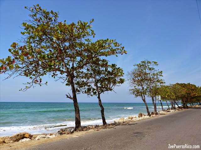 Puerto Rico, Isla Bella !!!: Parque Colón {Aguadilla}