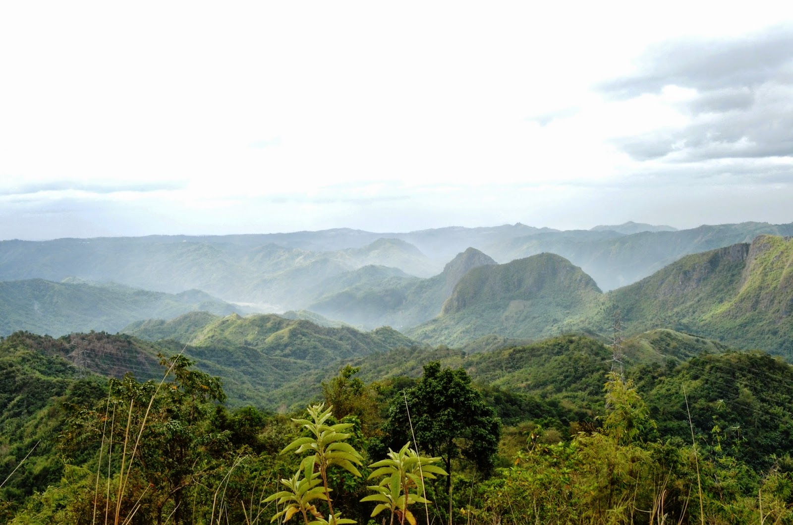 Climbing at Mount Ayaas