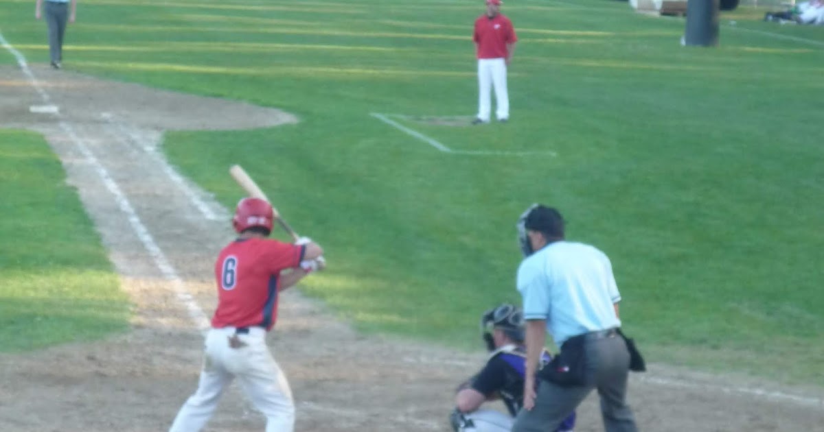 Keene Swamp Bats 2018 Diary