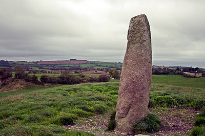 Historic Sites of Ireland: Kildare's Standing Stones
