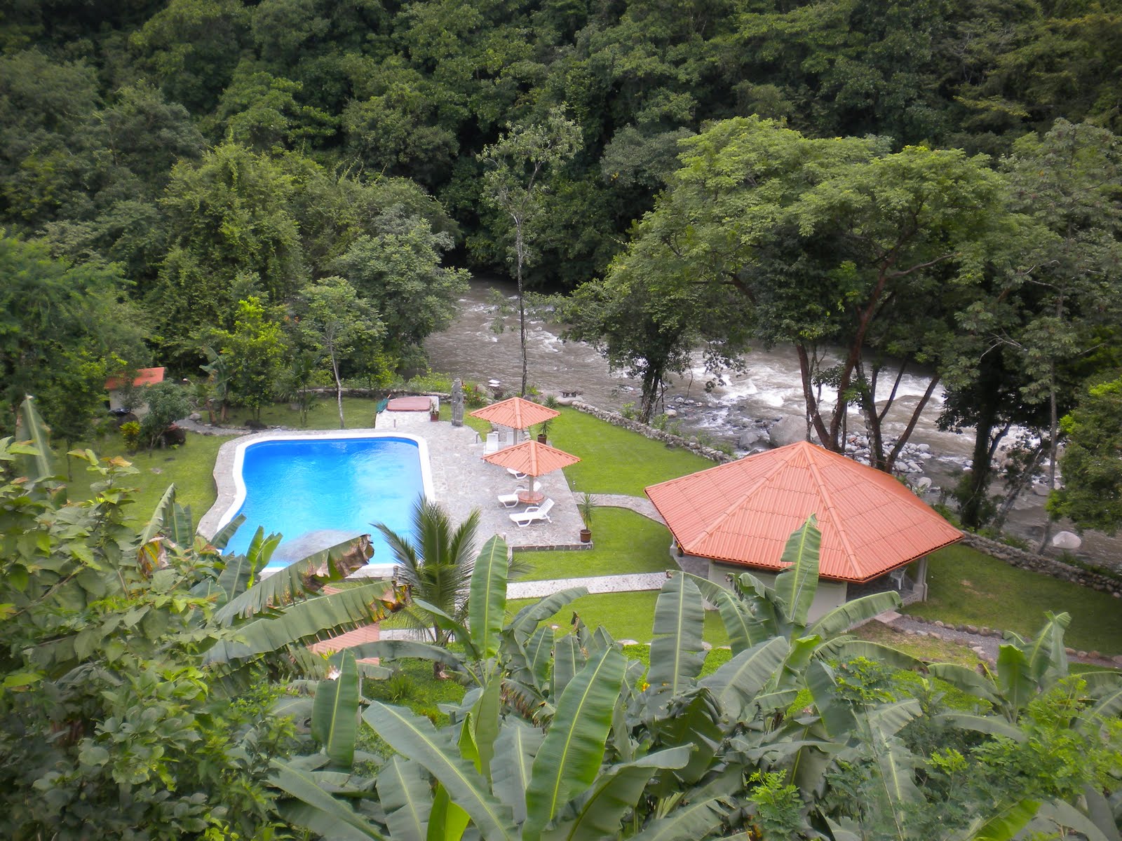 The Little Poet in Panama: Rio Encantado Nature Preserve, Caldera, Panama