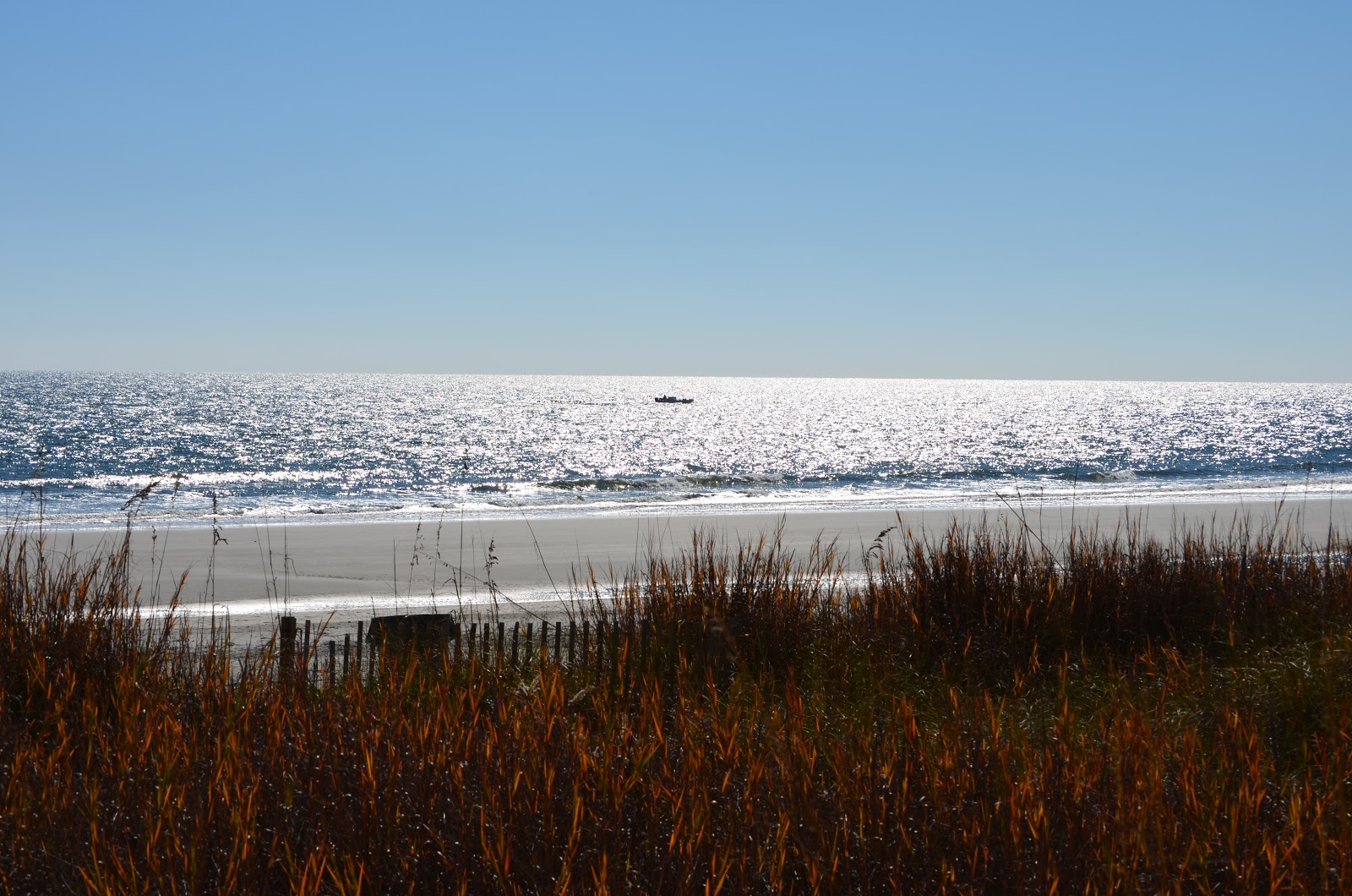 Some Day is Here: A walk on Crescent Beach/Atlantic Ocean