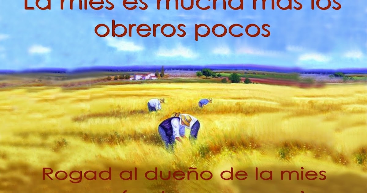 Navegar Mar Adentro: Evangelio según San Lucas 10,1-12;17-20 - "Jesús ...