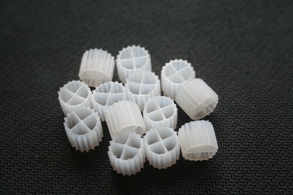 Kamu Harus Tahu! Inilah 5 Media Filtrasi Biologis yang Populer - Nakama ...