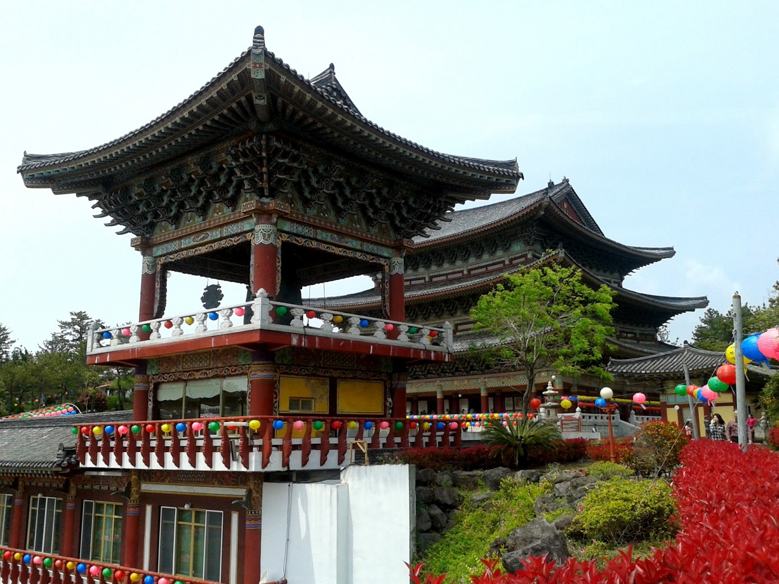 Jeju Island (Cheju Island) - Footprints of Erica