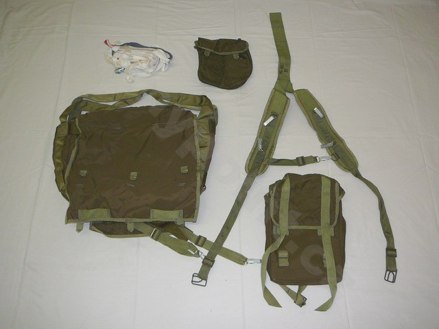 Czech paratroopers taking picture with american soldier in nest with ...