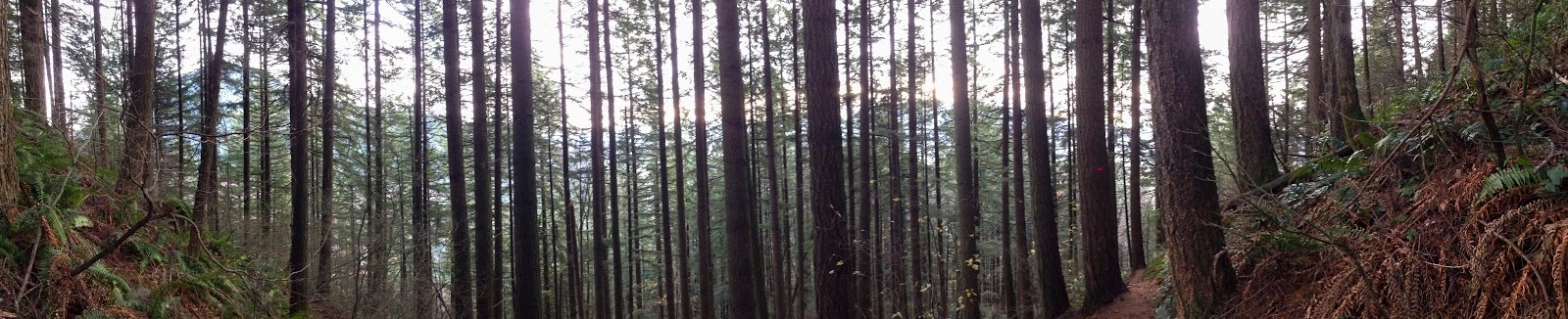 The Hapa Canadian: Dewdney Grind + Dewdney Peak, BC in November